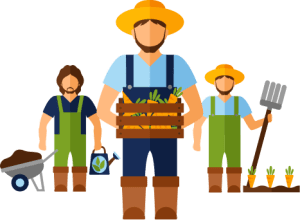 How Managed Farmland Works at Sanjeevani Farms?